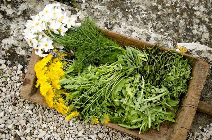 Reduce Food Waste by Food Foraging! Lots of awesome ideas.