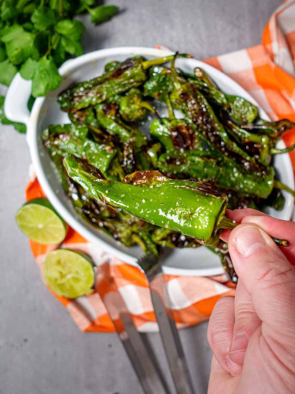 3-Ingredient Grilled Shishito Peppers 🌶️ - I'd Rather Be A Chef