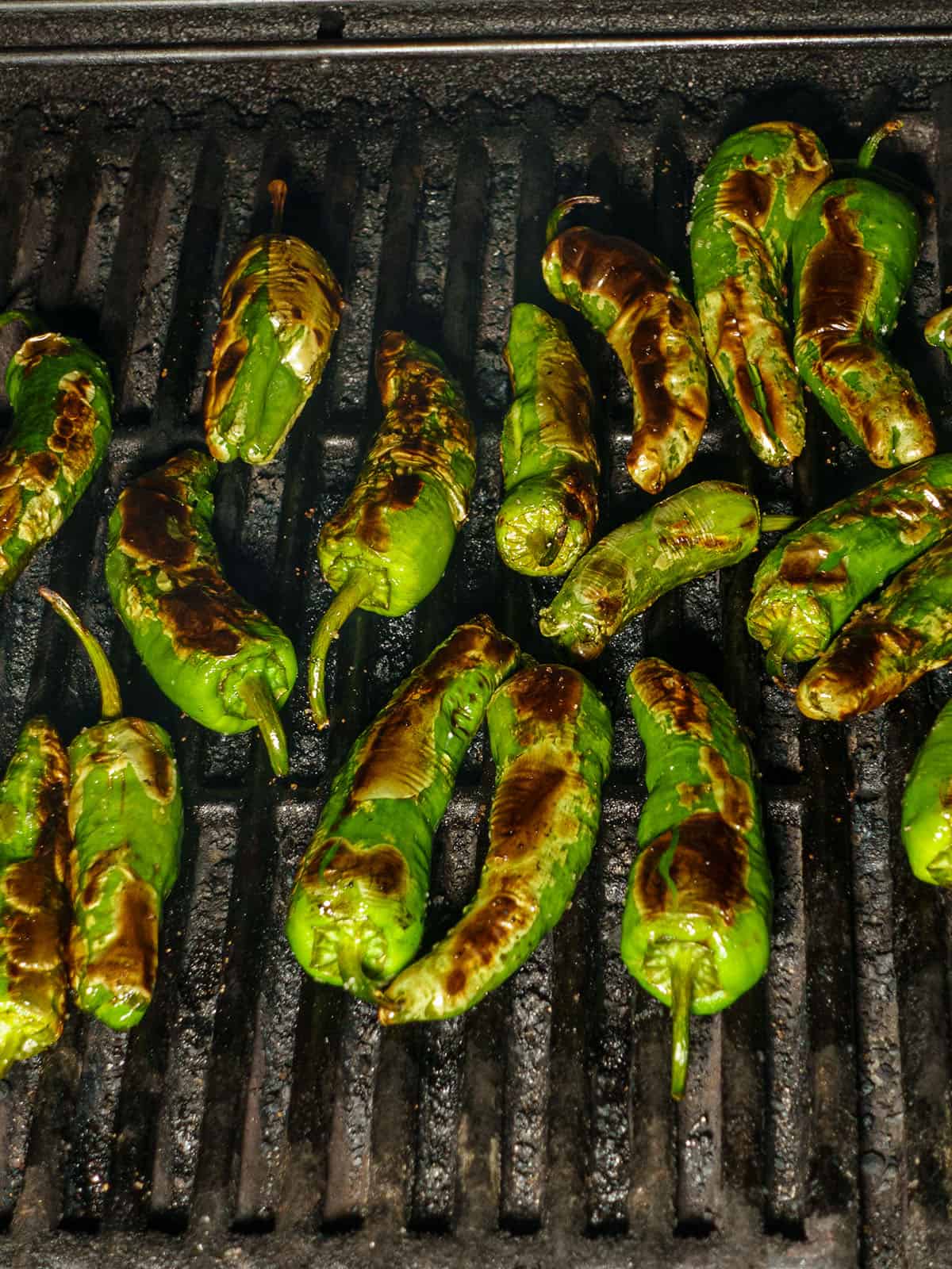 Best Grilling Tips For Beginners (From A Professional Chef!) - I'd ...