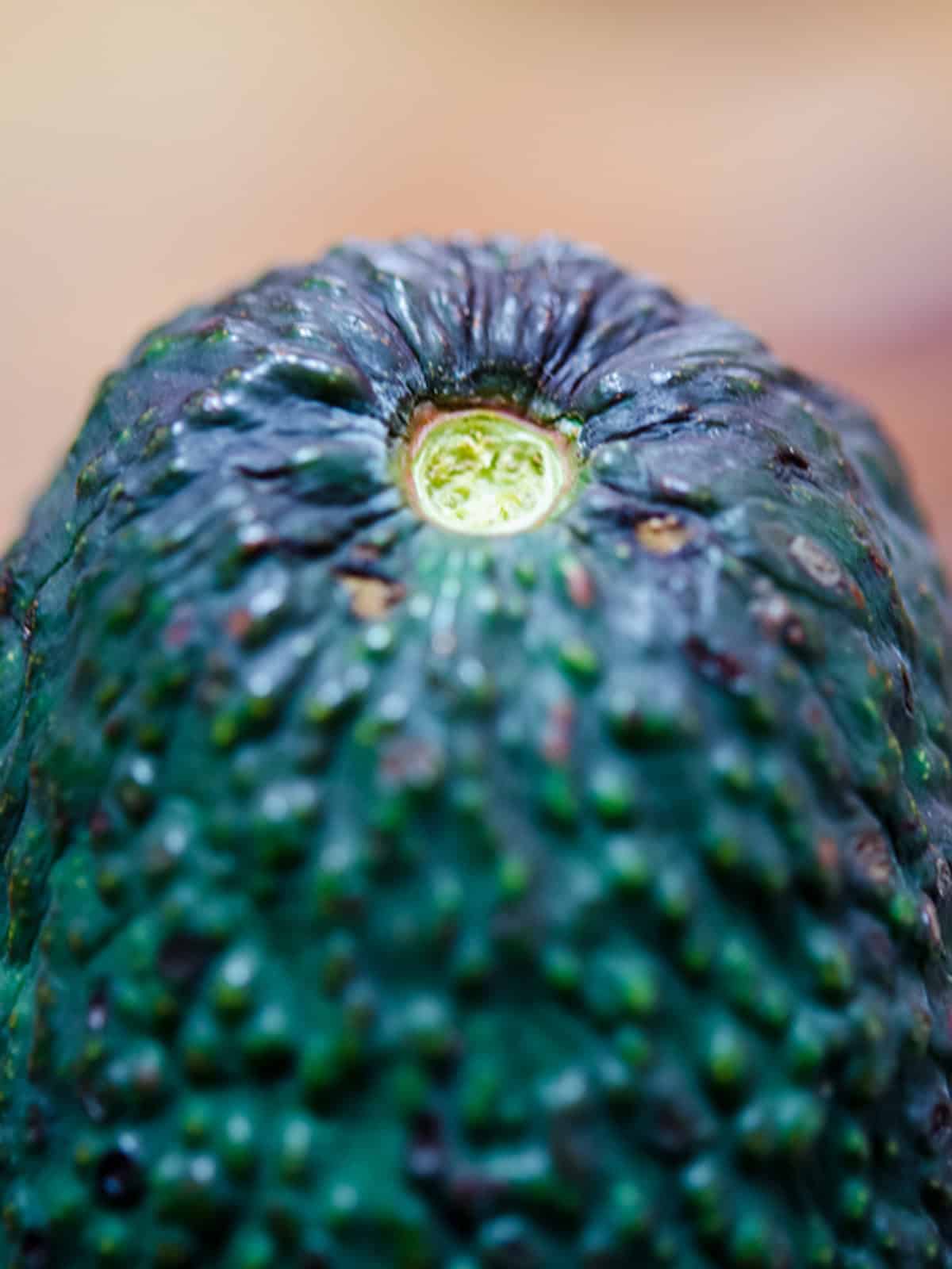 How to Peel An Avocado - I'd Rather Be A Chef