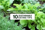 How To Eat Sustainably: 10 Sustainable Eating Tips - I'd Rather Be A Chef
