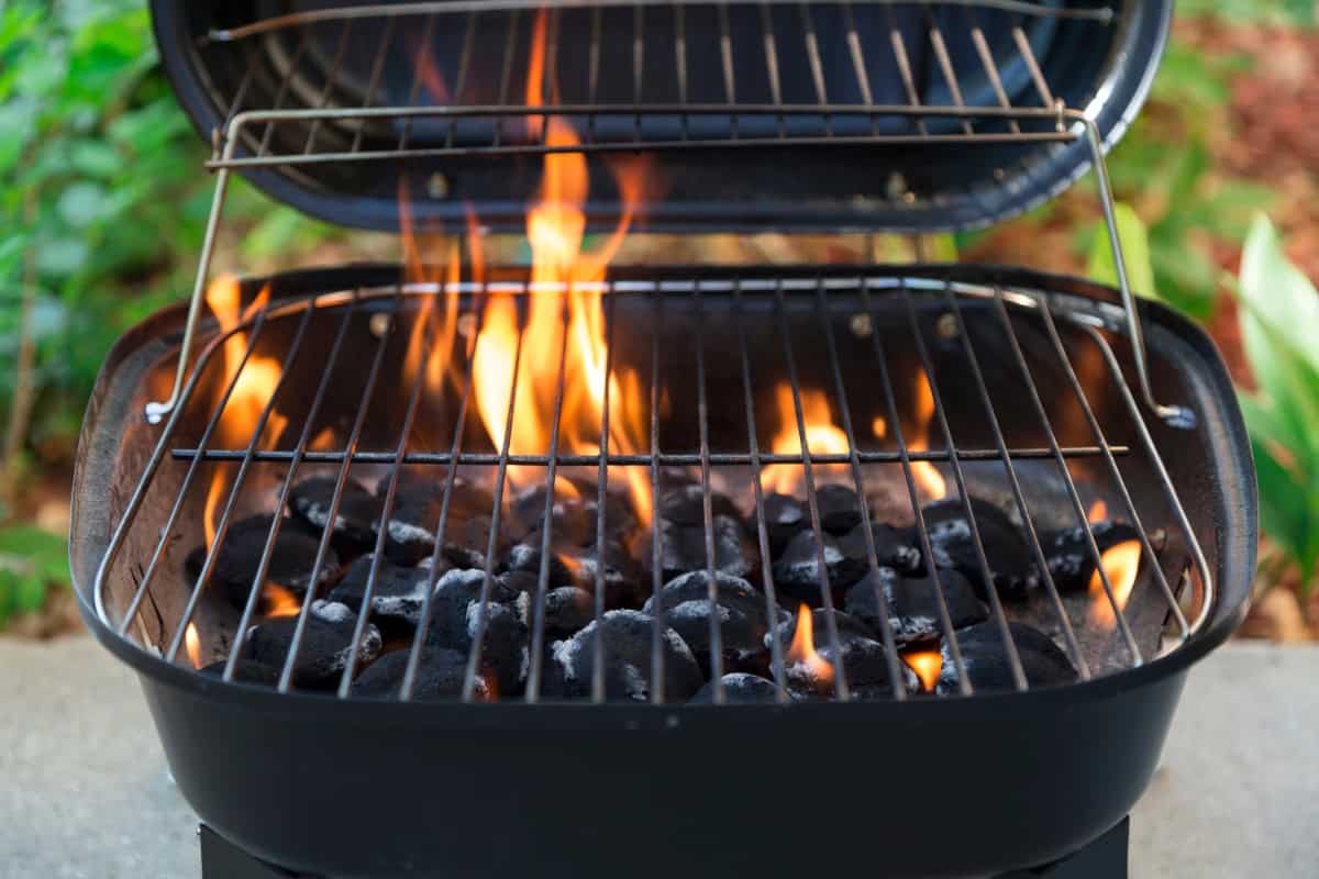 Best Grilling Tips For Beginners (From A Professional Chef!) - I'd ...