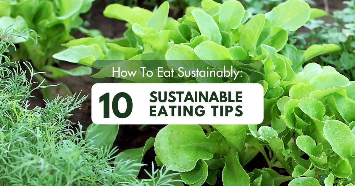 How To Eat Sustainably: 10 Sustainable Eating Tips - I'd Rather Be A Chef